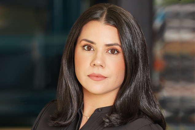 Meet Our Team I Miami Business Litigation Lawyer I Haber Law